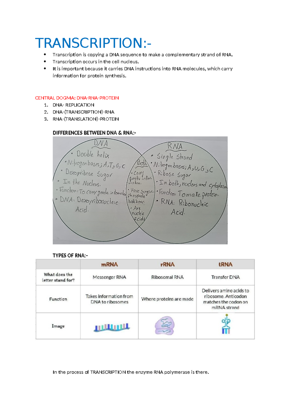 Biology Revision - Summary about hardy-Weinberg equilibrium and the 5 ...