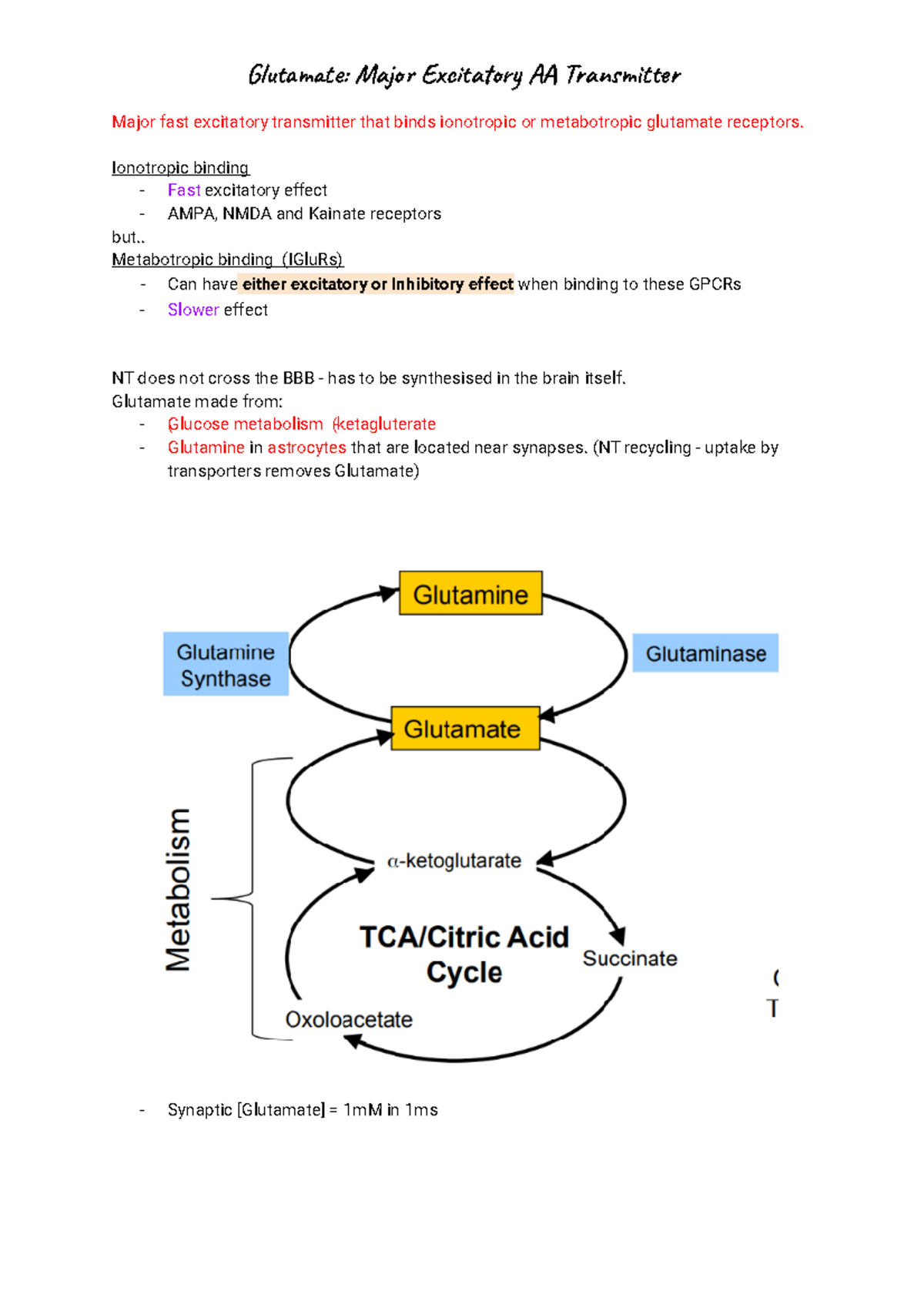 Glutamate - Major fast excitatory transmitter that binds ionotropic or ...
