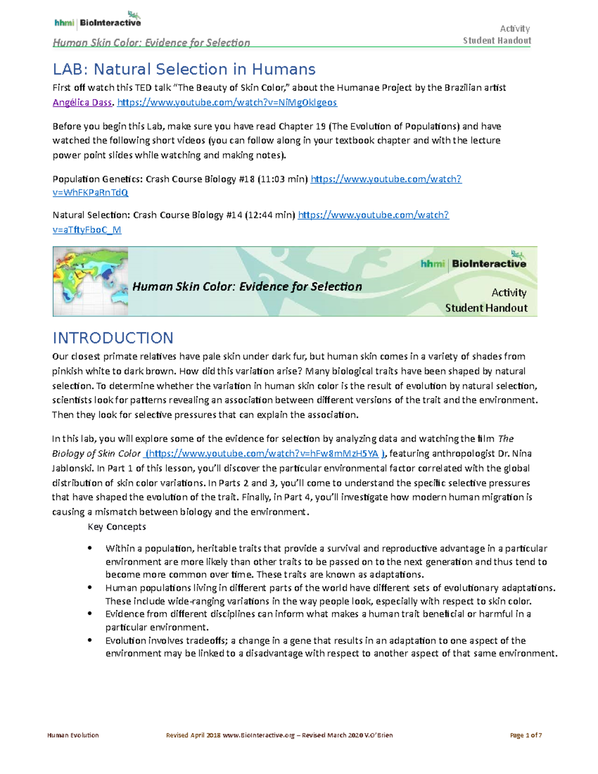 Biology of Skin Color Virtual Student Handout revised from HHMI V.OB ...