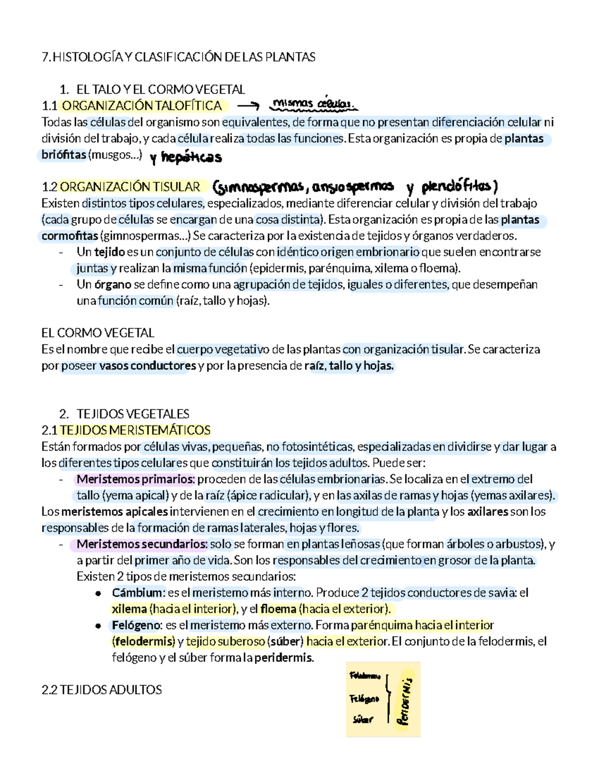Biología temas 7 y 10 - apuntes y temario de biología - 7. HISTOLOGÍA Y ...