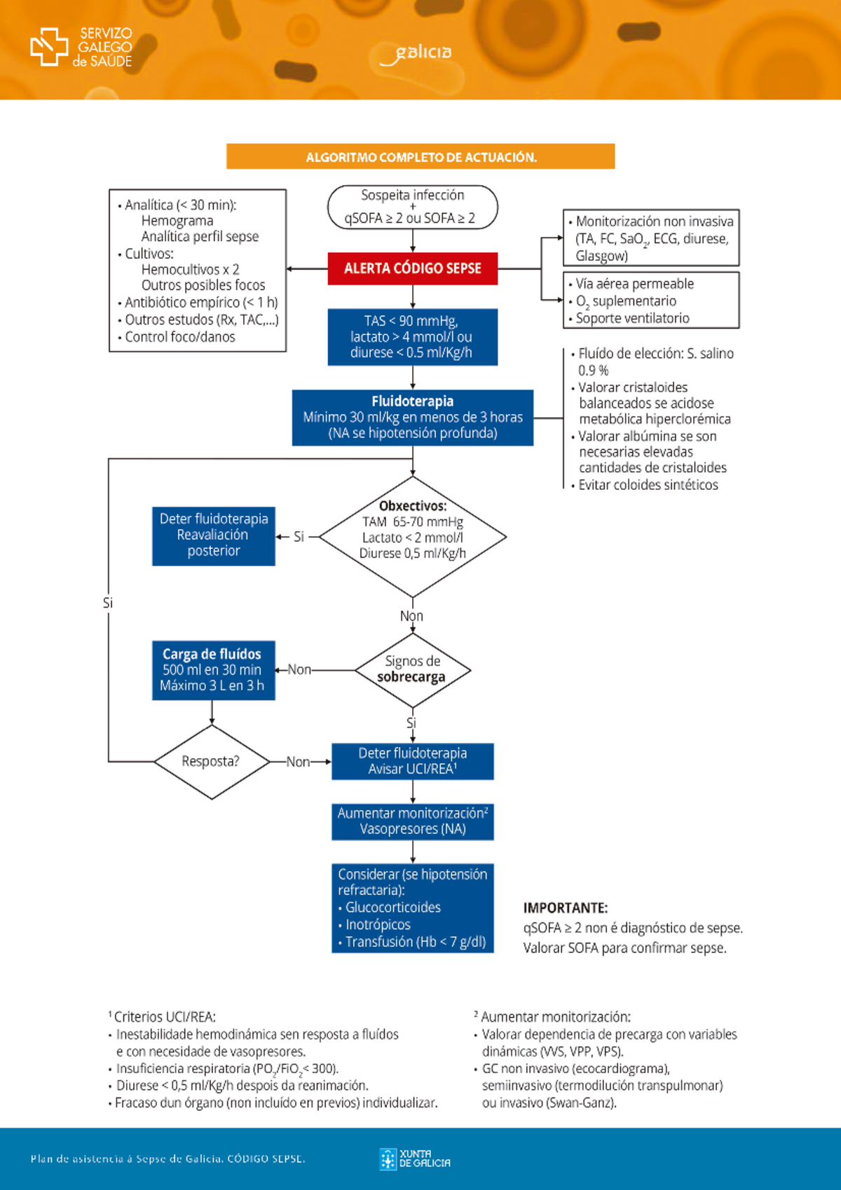 Algoritmo completo actuación sepsis - Enfermidades Infecciosas Sistémicas e Microbioloxía ...