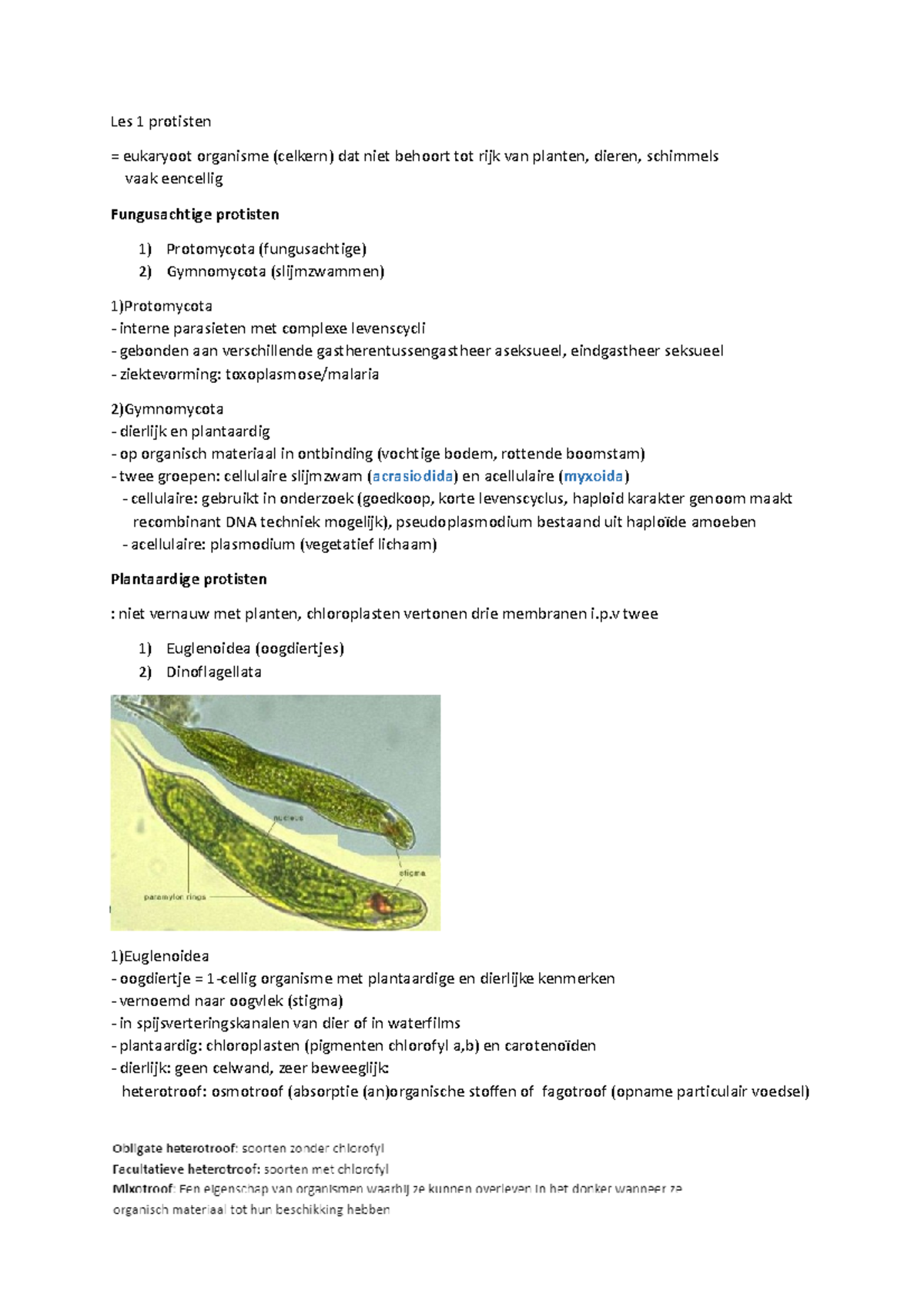 Les 1 protisten sv - Les 1 protisten = eukaryoot organisme (celkern ...