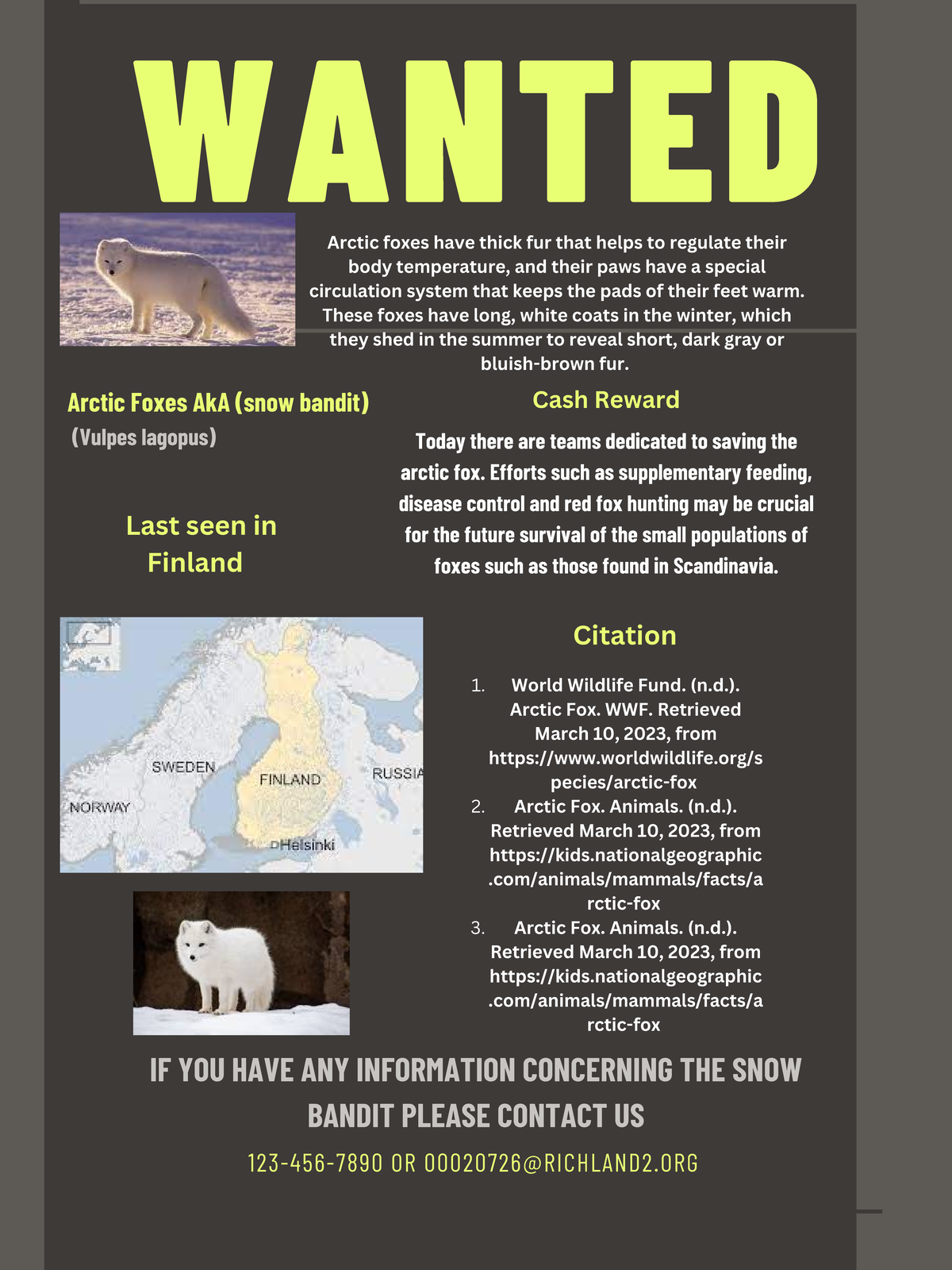 Grey and Yellow Minimalist Wanted Poster - WANTED IF YOU HAVE ANY ...