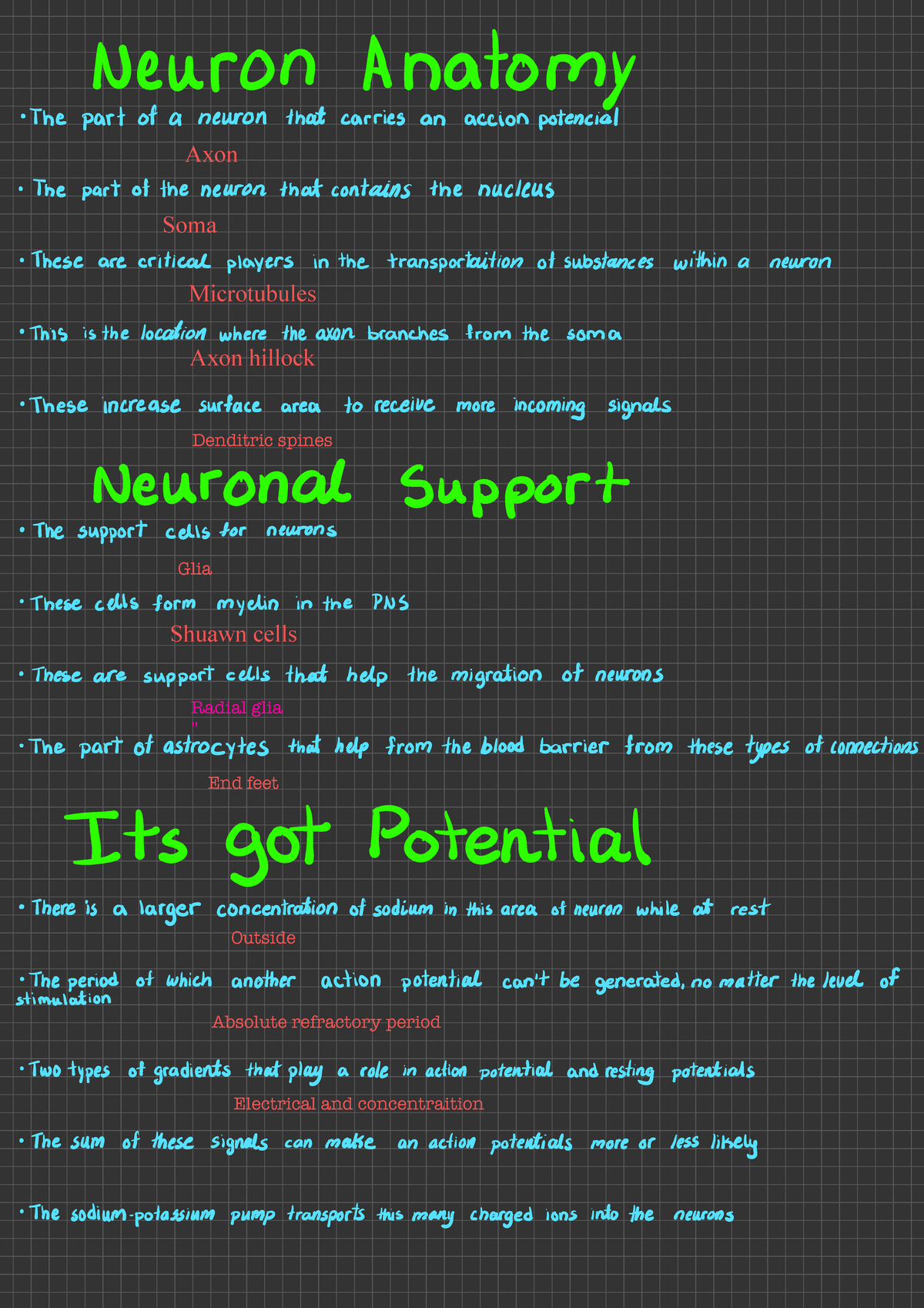 Neuron Anatomy - Axon Soma Microtubules Axon hillock Shuawn cells Glia ...