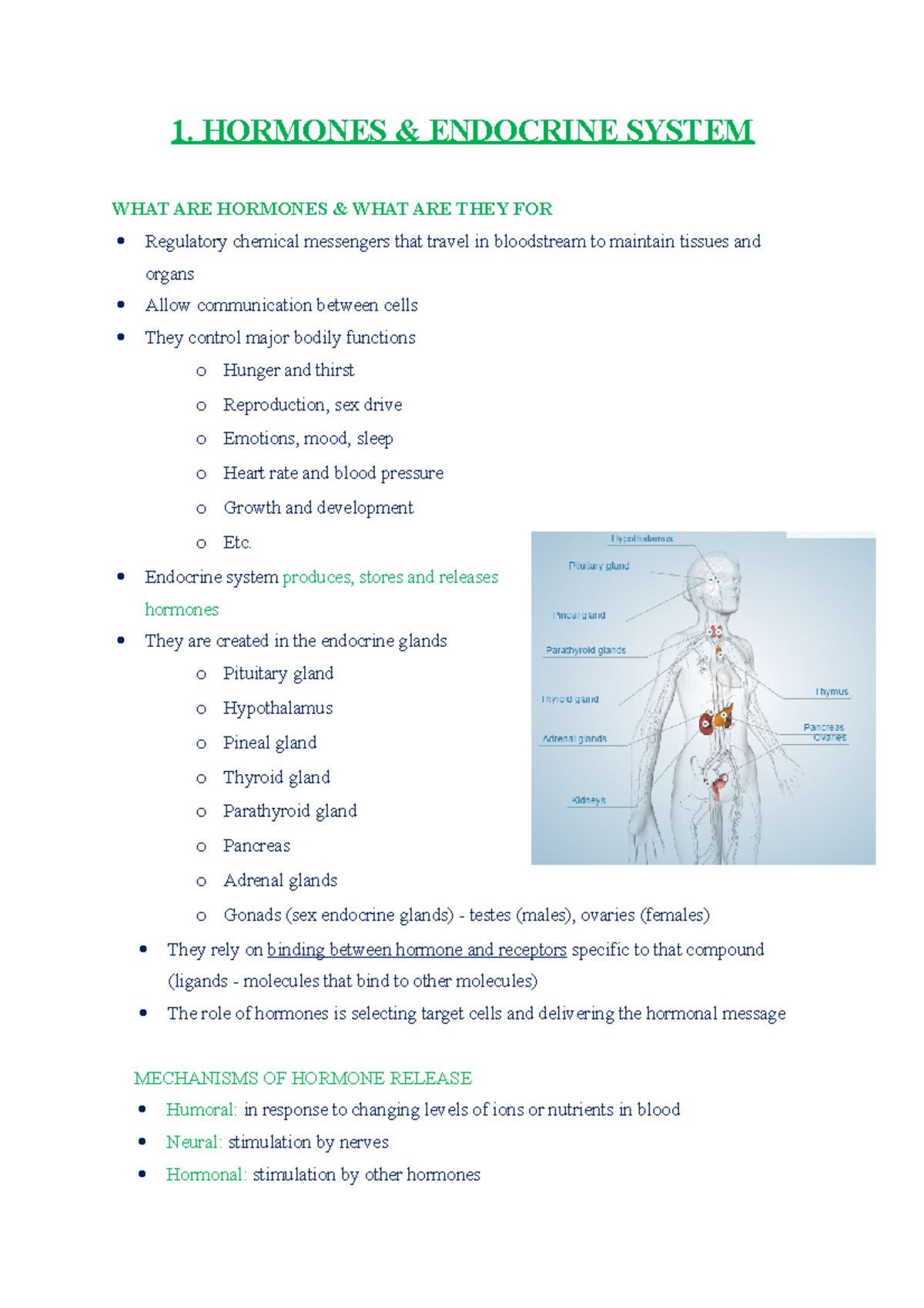 Anatomy EXAM Revision - 1. HORMONES &amp; ENDOCRINE SYSTEM WHAT ARE ...