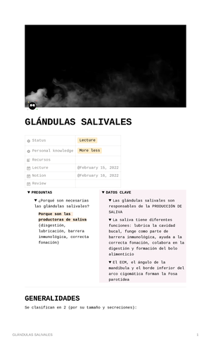 Micrognacia y Mmacrognacia Y Labio Doble - MICROGNACIA Maxilar pequeño ...