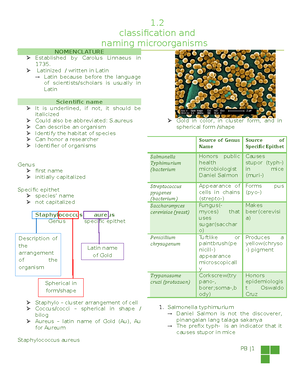 MP-LEC - microbiology and parasitology lecture notes - MICROBIOLOGY AND ...