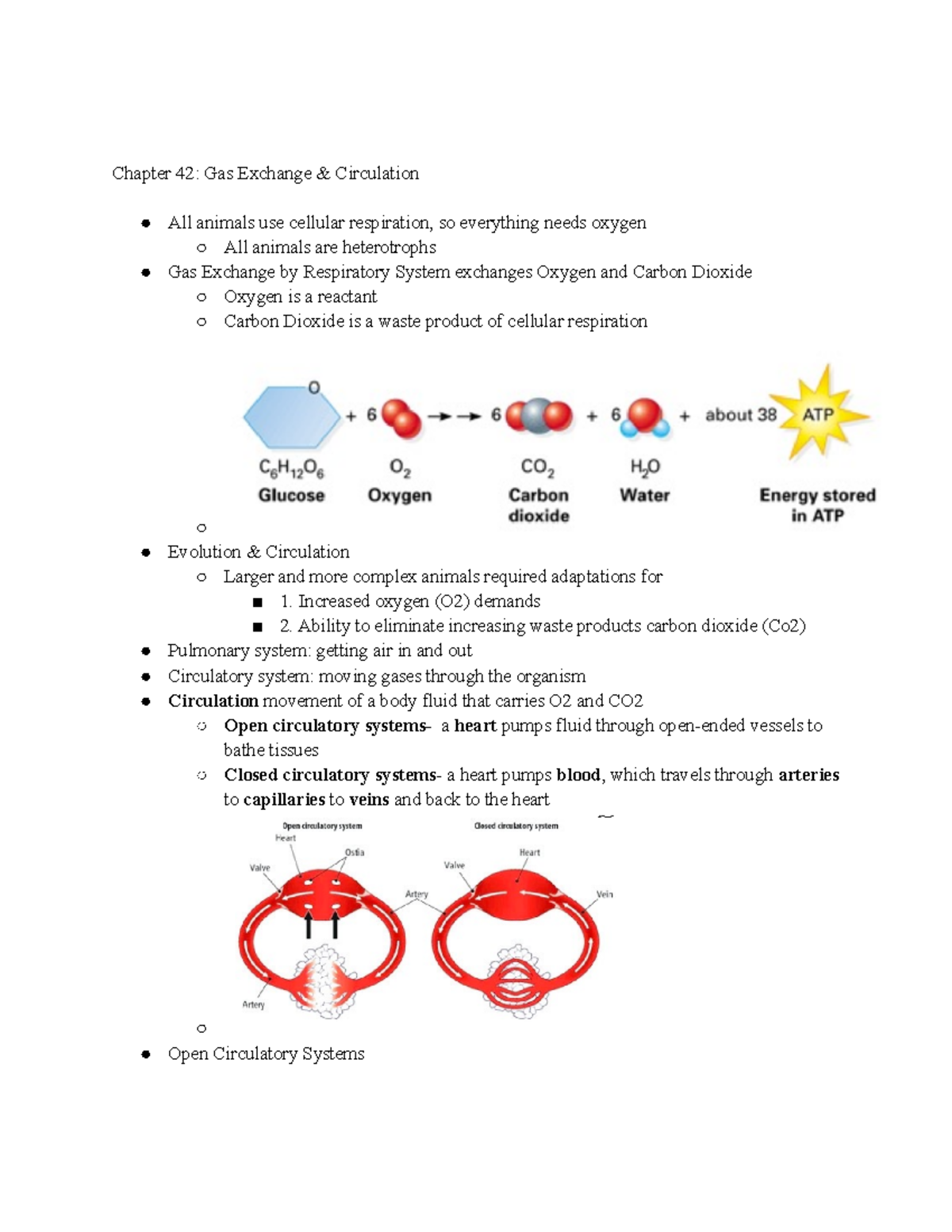 Chapter 42 Lecture notes BIO - Chapter 42: Gas Exchange & Circulation ...