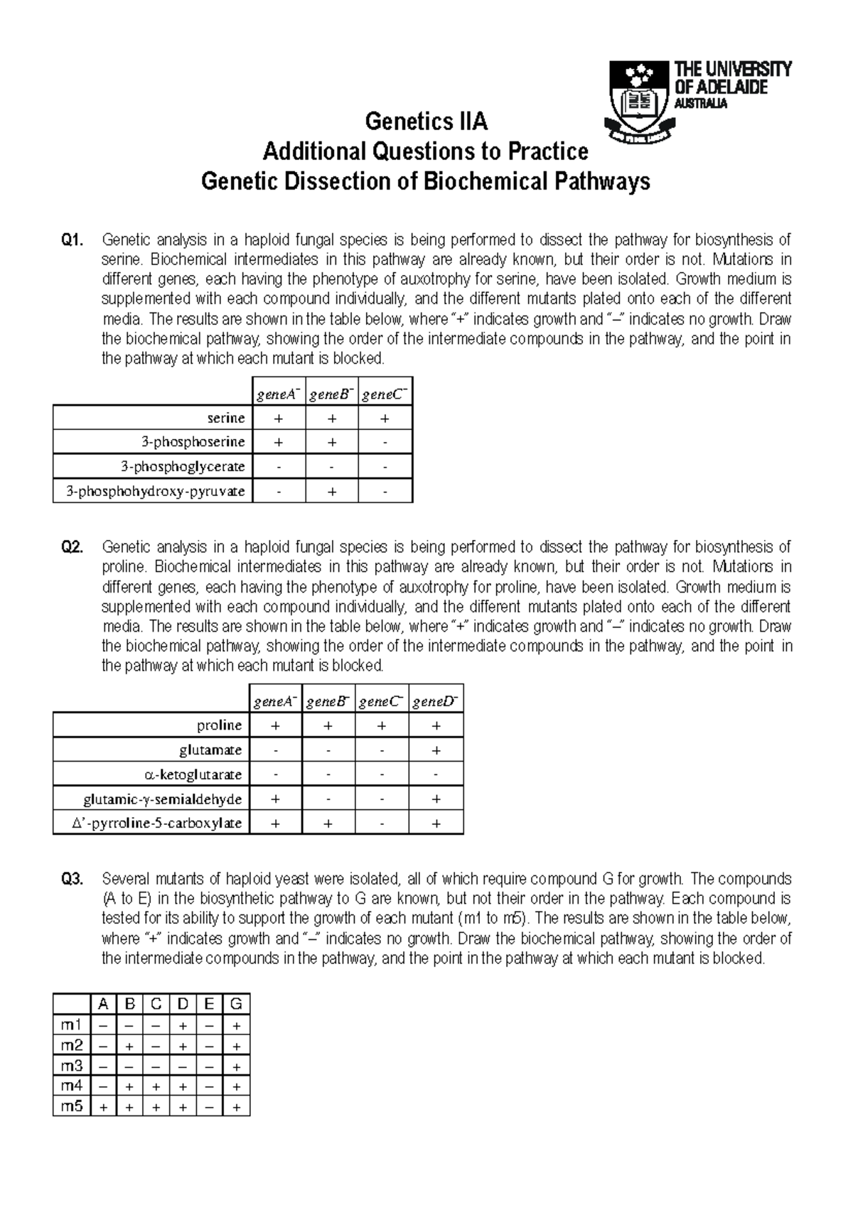 Extra biochemical pathways Qs GIIA - Genetics IIA Additional Questions ...