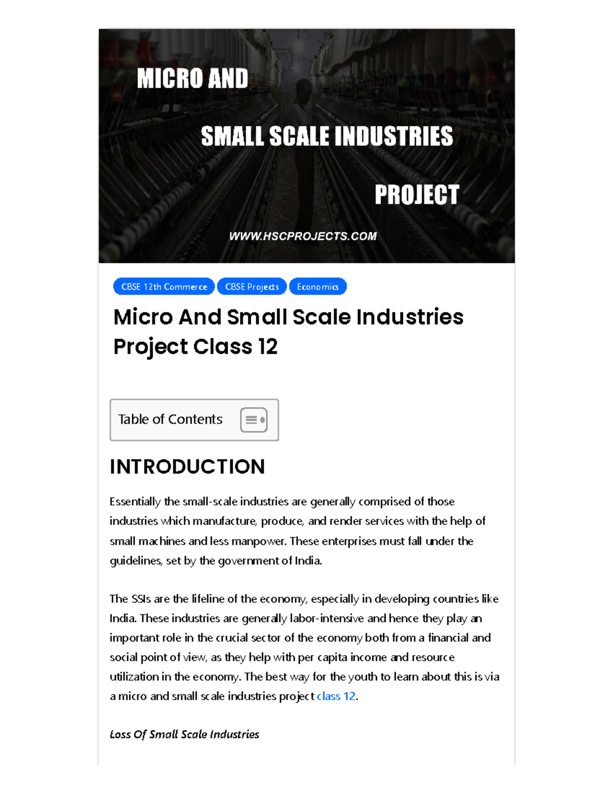 Pdf24 converted - Micro And Small Scale Industries Project Class 12 ...