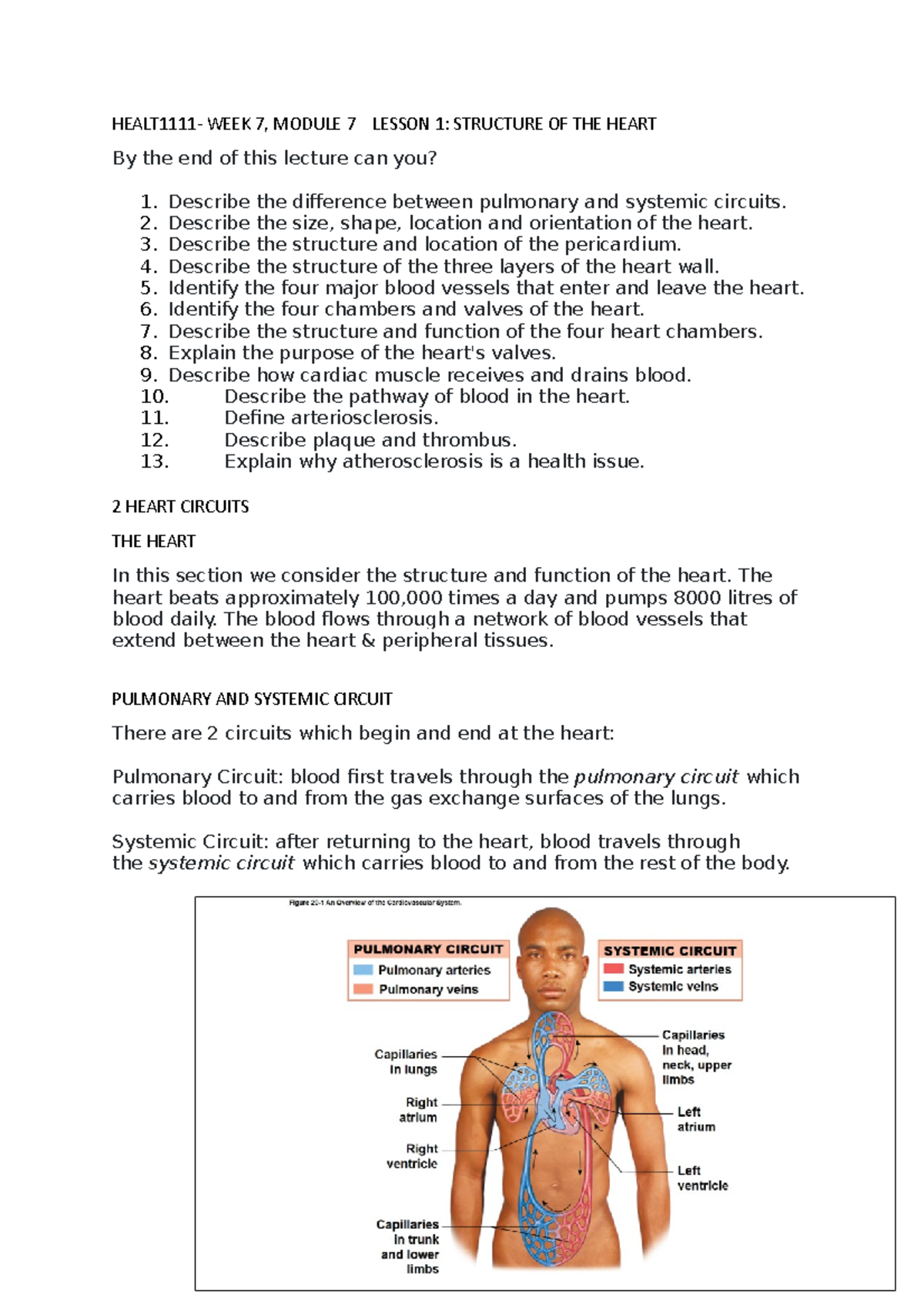 HEALT1111, Module 7 - Lecture notes 7 - HEALT1111- WEEK 7, MODULE 7 ...