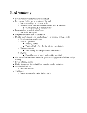 Early Coelurosaurs Part Three - Studocu