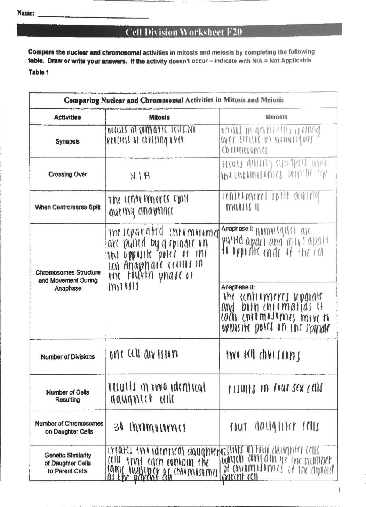 Cell Division Lab - Name: Cell Division Worksheet F20 Compare the ...
