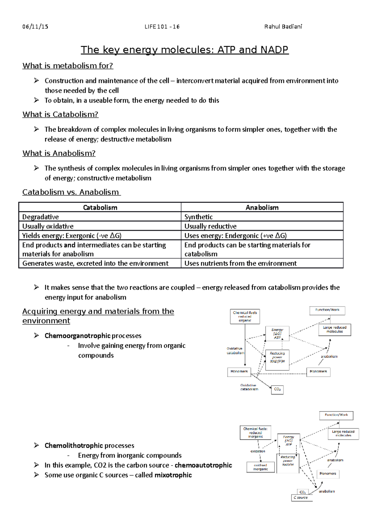 16 - The key energy molecules - The key energy molecules: ATP and NADP ...