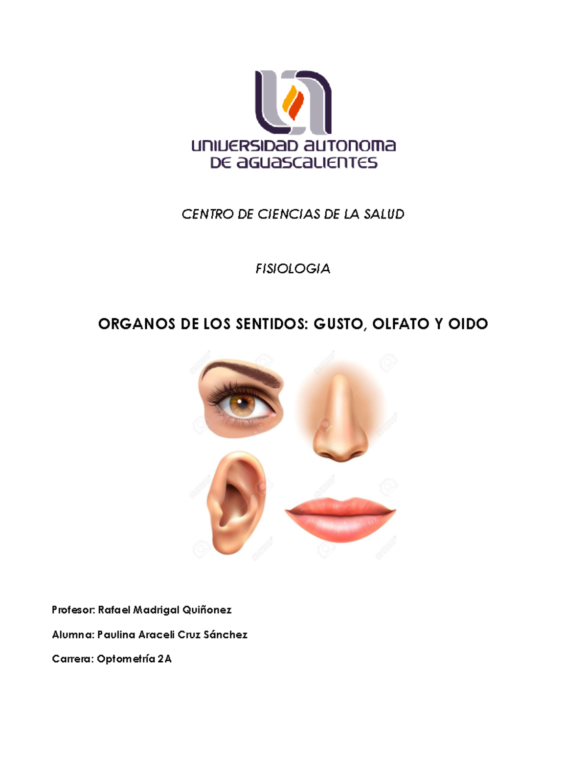 Organos de los sentidos - CENTRO DE CIENCIAS DE LA SALUD FISIOLOGIA ...