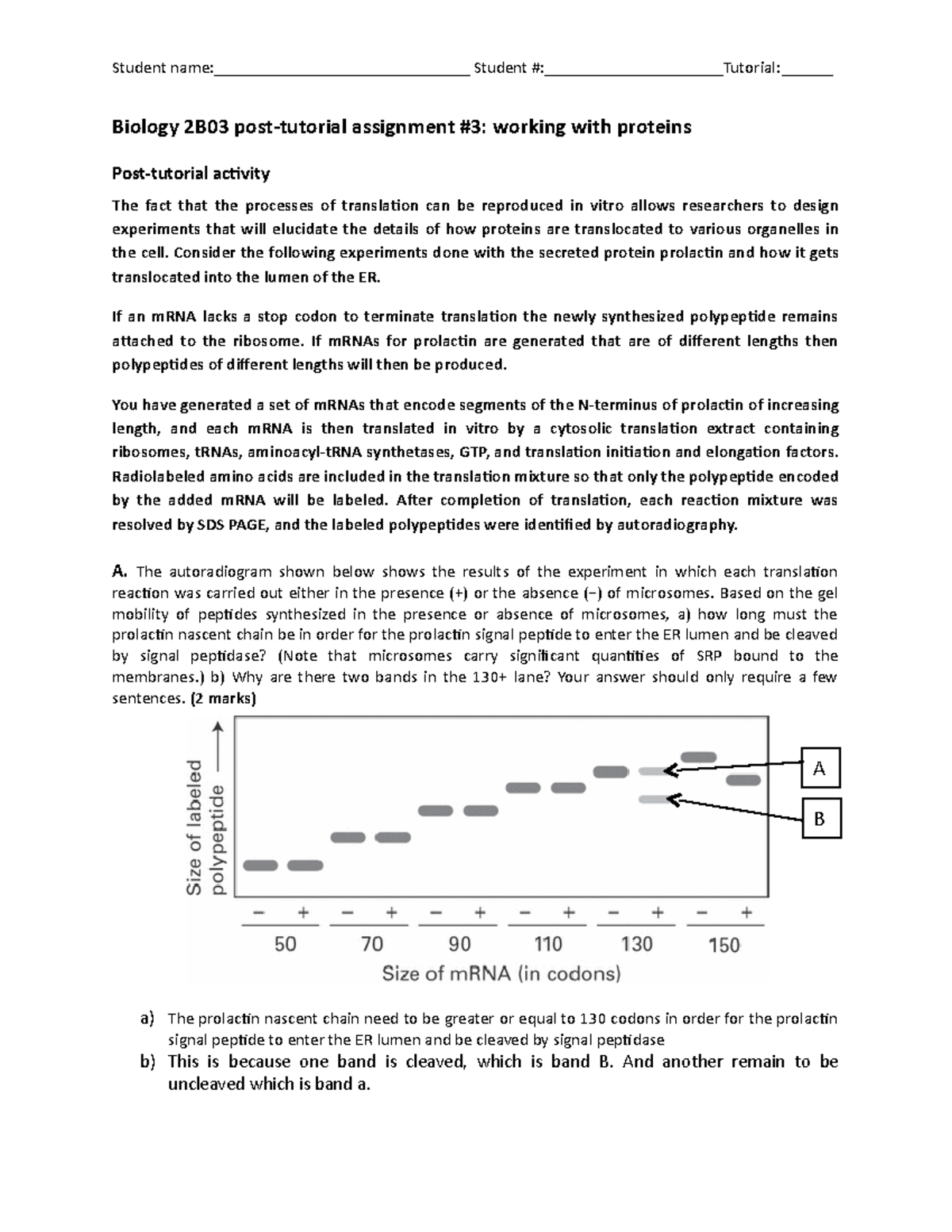 W22 Bio 2B03 post-tutorial assignment 3 working with proteins - Biology ...