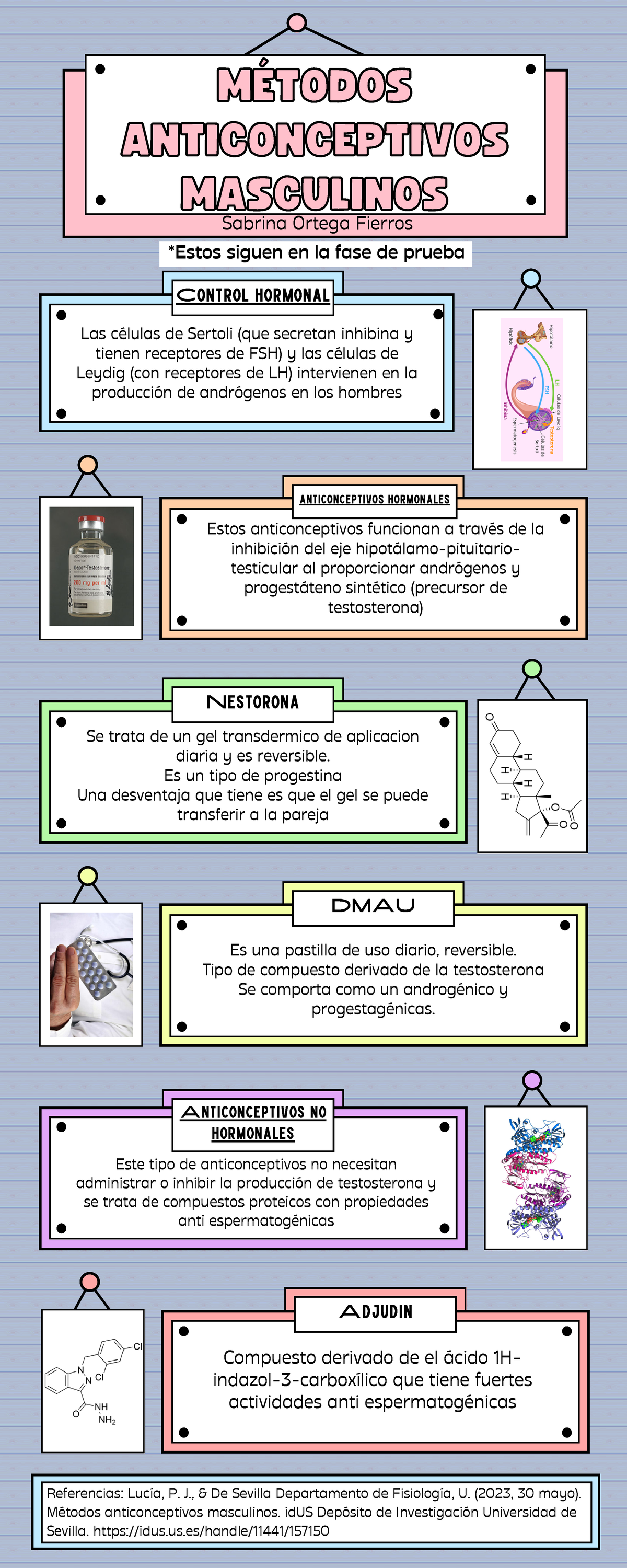 Anticonceptivos masculinos - Control hormonal anticonceptivos ...