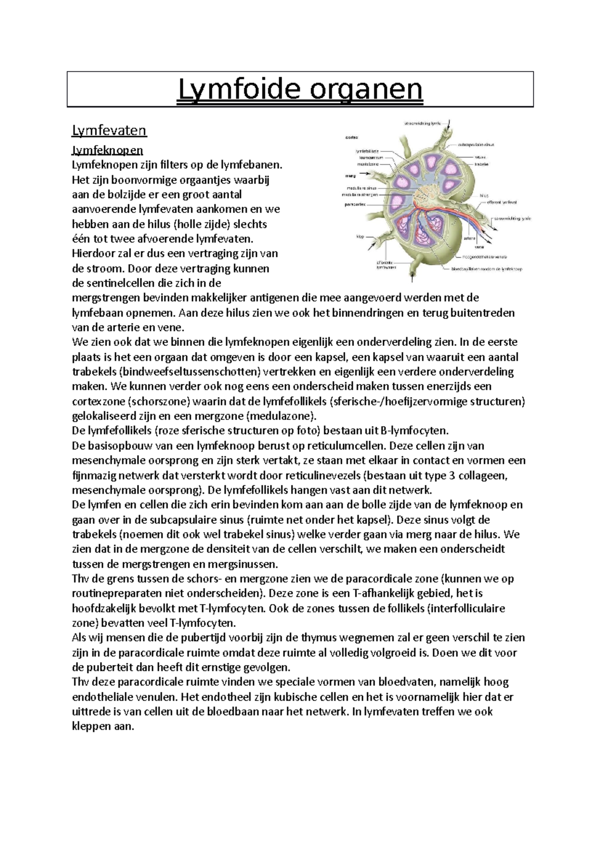 Samenvatting les lymfoide organen inclusief gebruikte foto's - Lymfoide ...