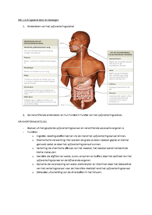 Anatomie: de spieren van het lichaam - Hoofdstuk 4: het spierweefsel De ...
