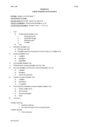 Chapter 13 Meiosis - Professor Cheek - Eukaryotic chromosomes double ...