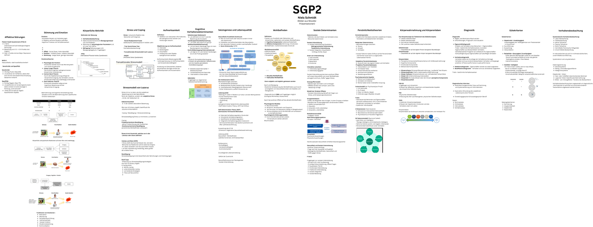 SGP2 - Zusammenfassung Grundlagen Und Diagnostik Von Verhalten Und Psychischen Funktionen - SGP ...