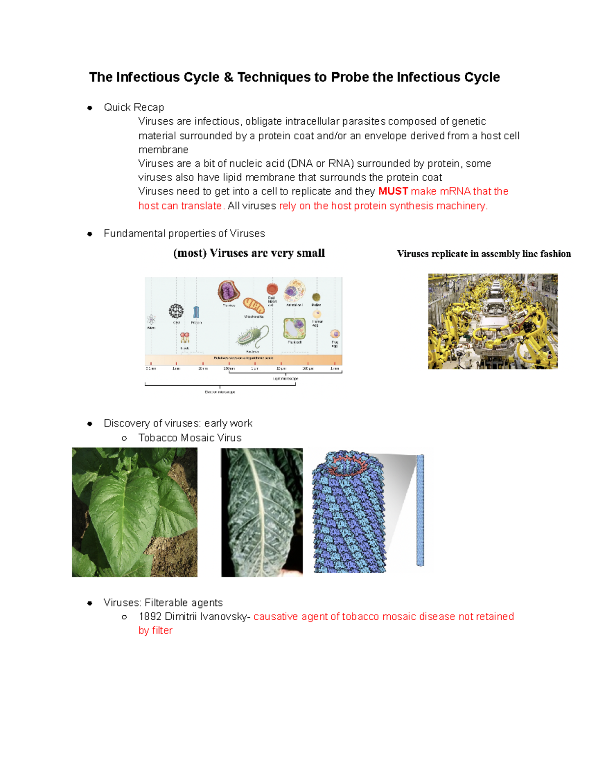 Lecture 1/2 The Infectious Cycle - The Infectious Cycle & Techniques to ...