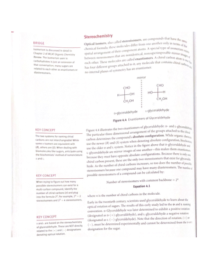 Biochemistry review sheet - CHEM 4033 - Studocu