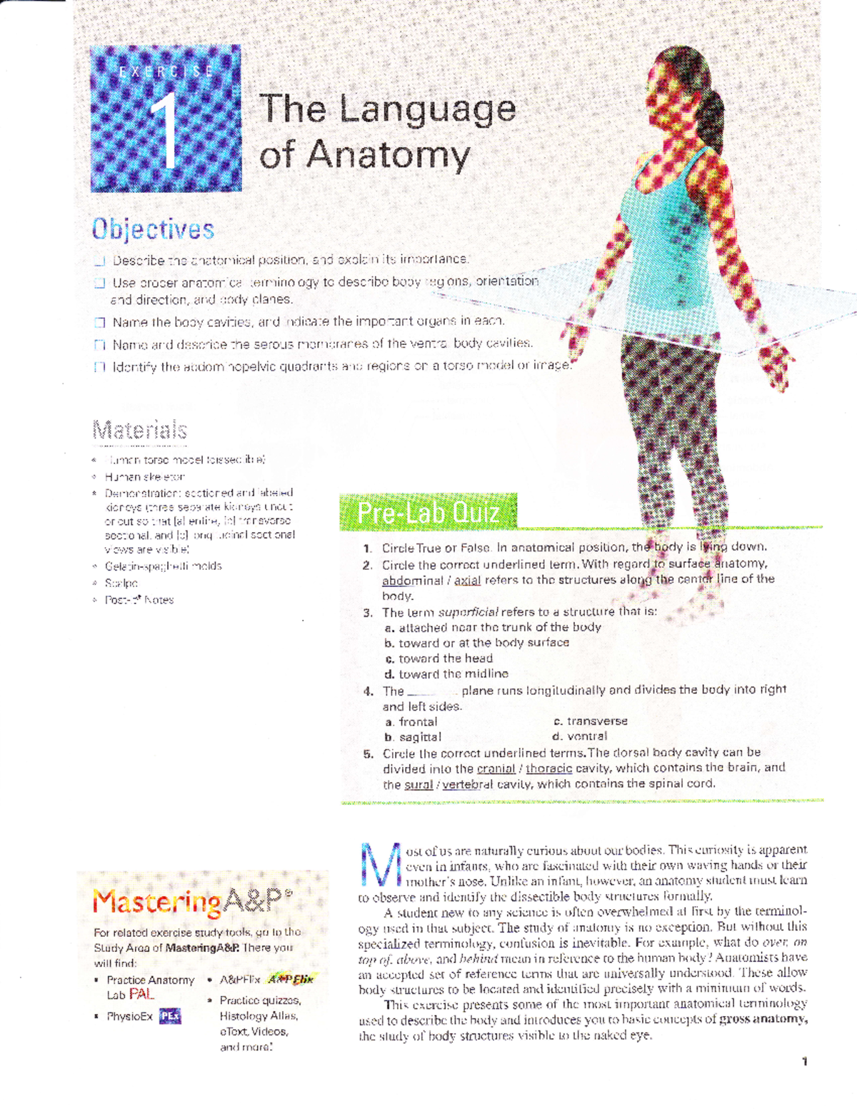 Ex. 1 The Language of Anatomy - The l-anguage of Anatomy o rie ntation ...