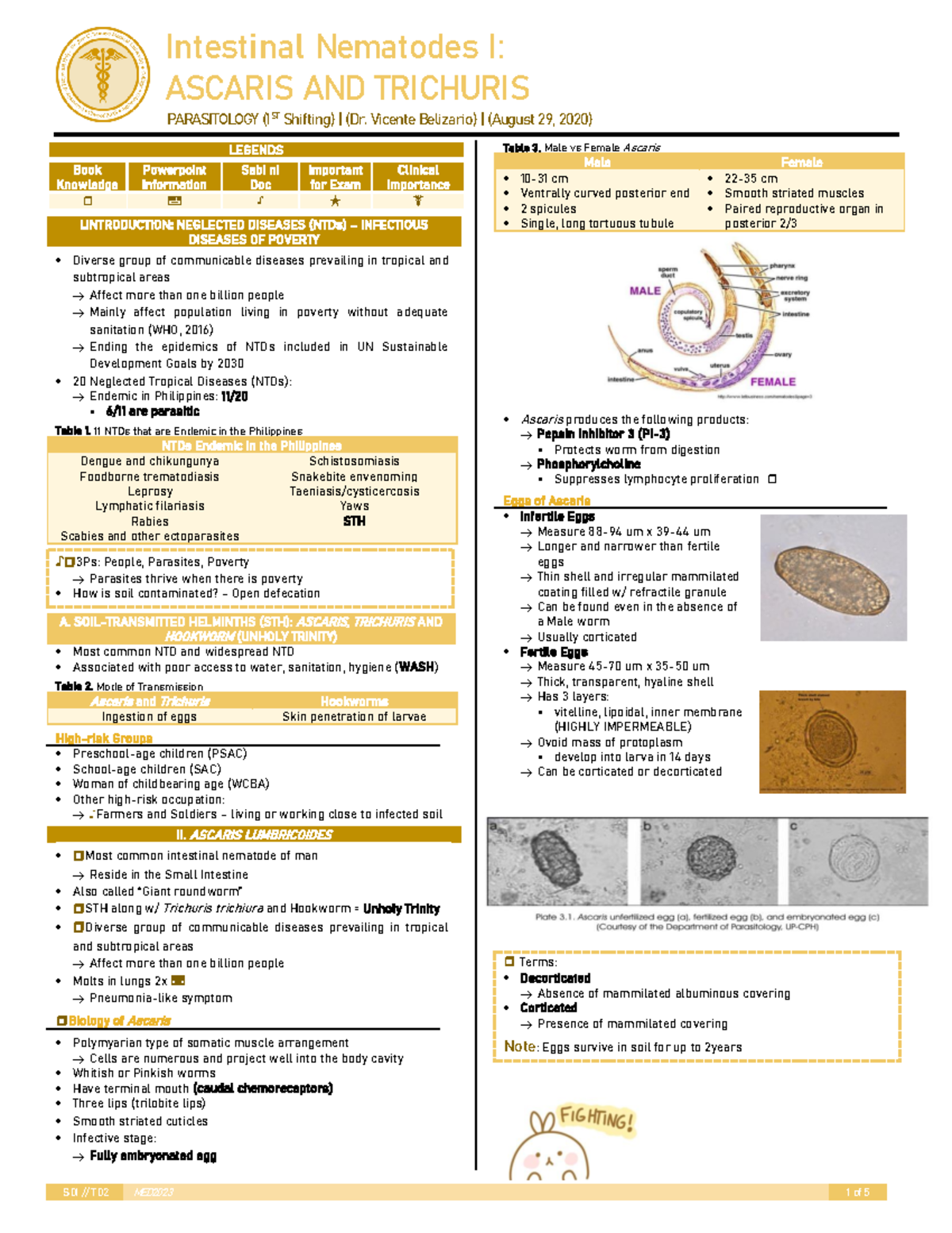 Ascaris and Trichuris Intestinal Nematodes I - S 01 // T 02 MED2023 1 ...