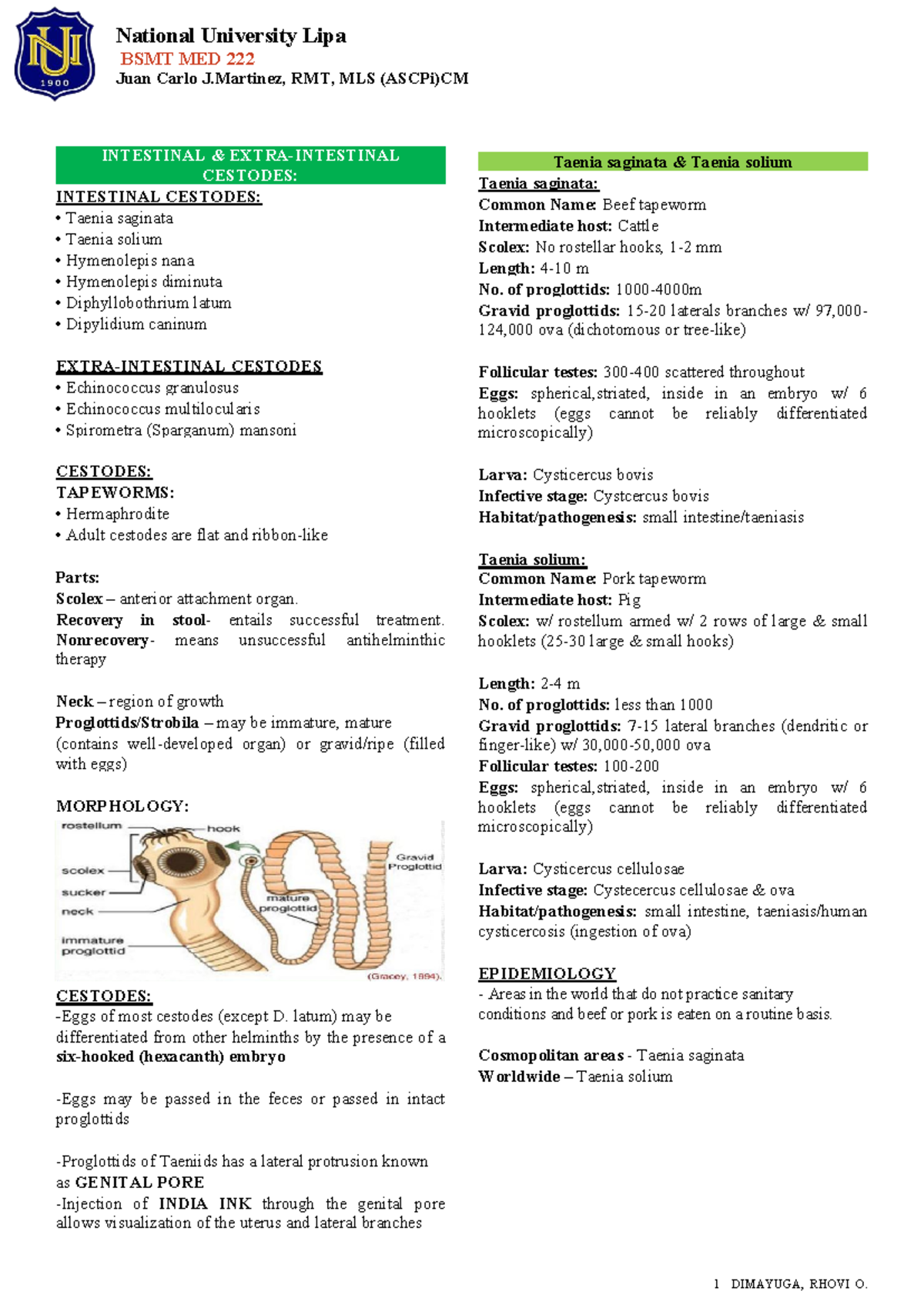 Intestinal & Extra- Intestinal Cestodes Transes - BSMT MED 222 Juan ...