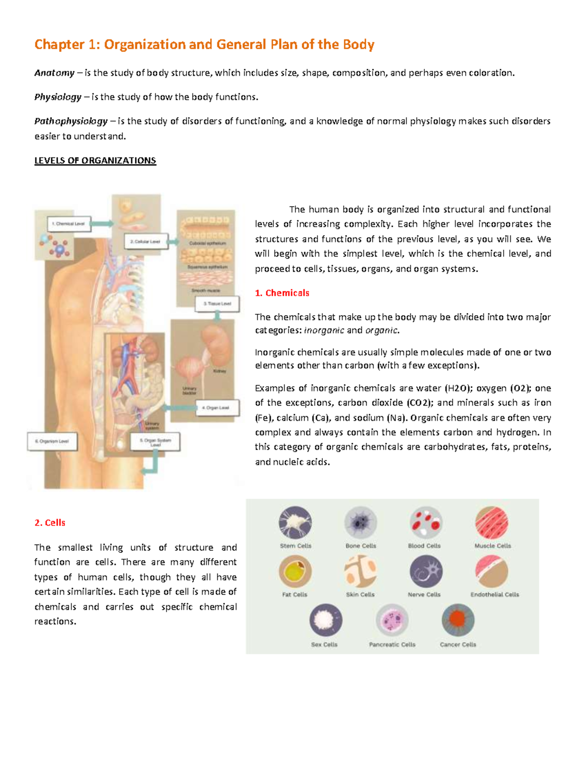 Anaphy - shgydye - Chapter 1: Organization and General Plan of the Body ...