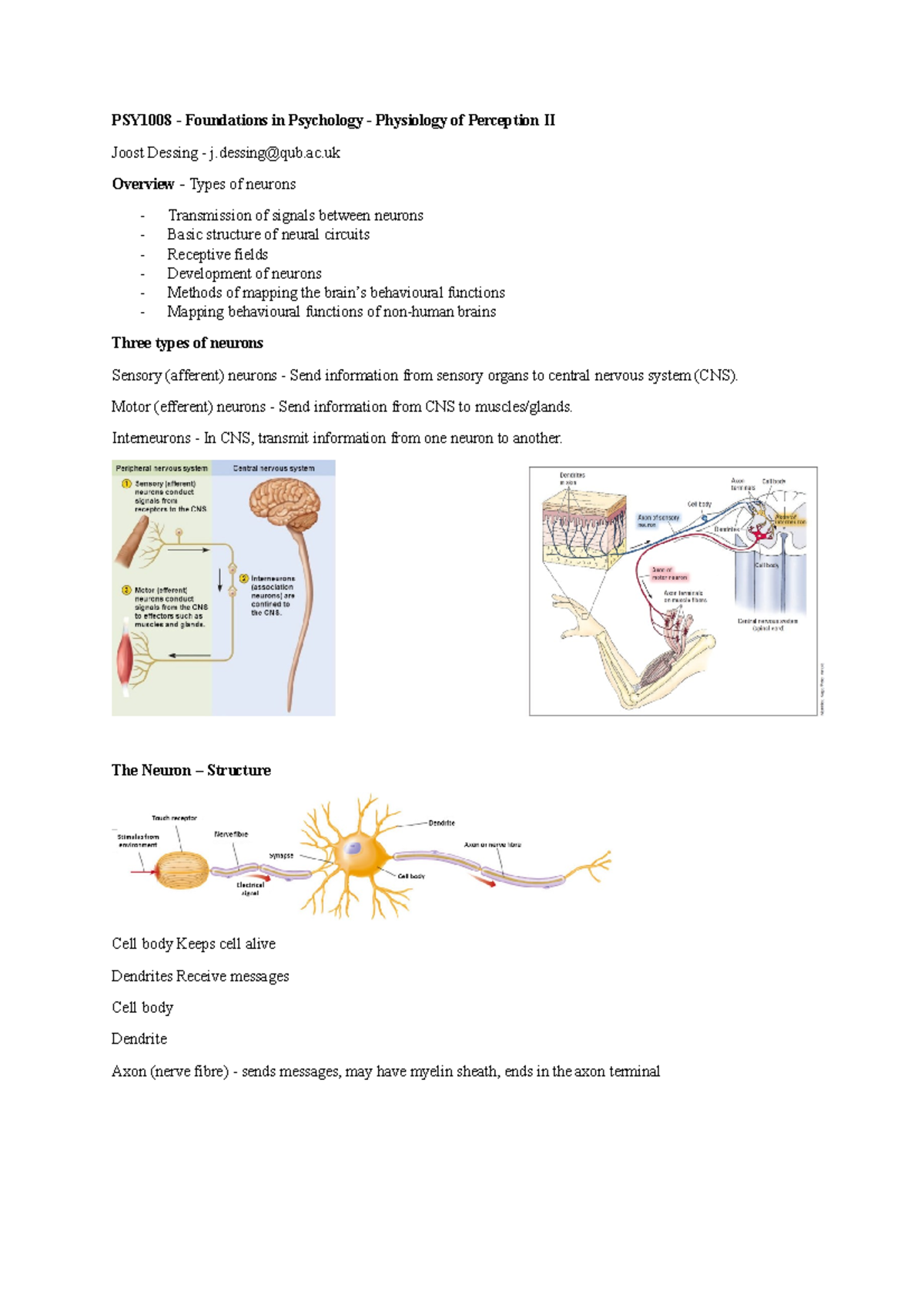 The Physiology of Perception Psychology - PSY1008 - Foundations in ...