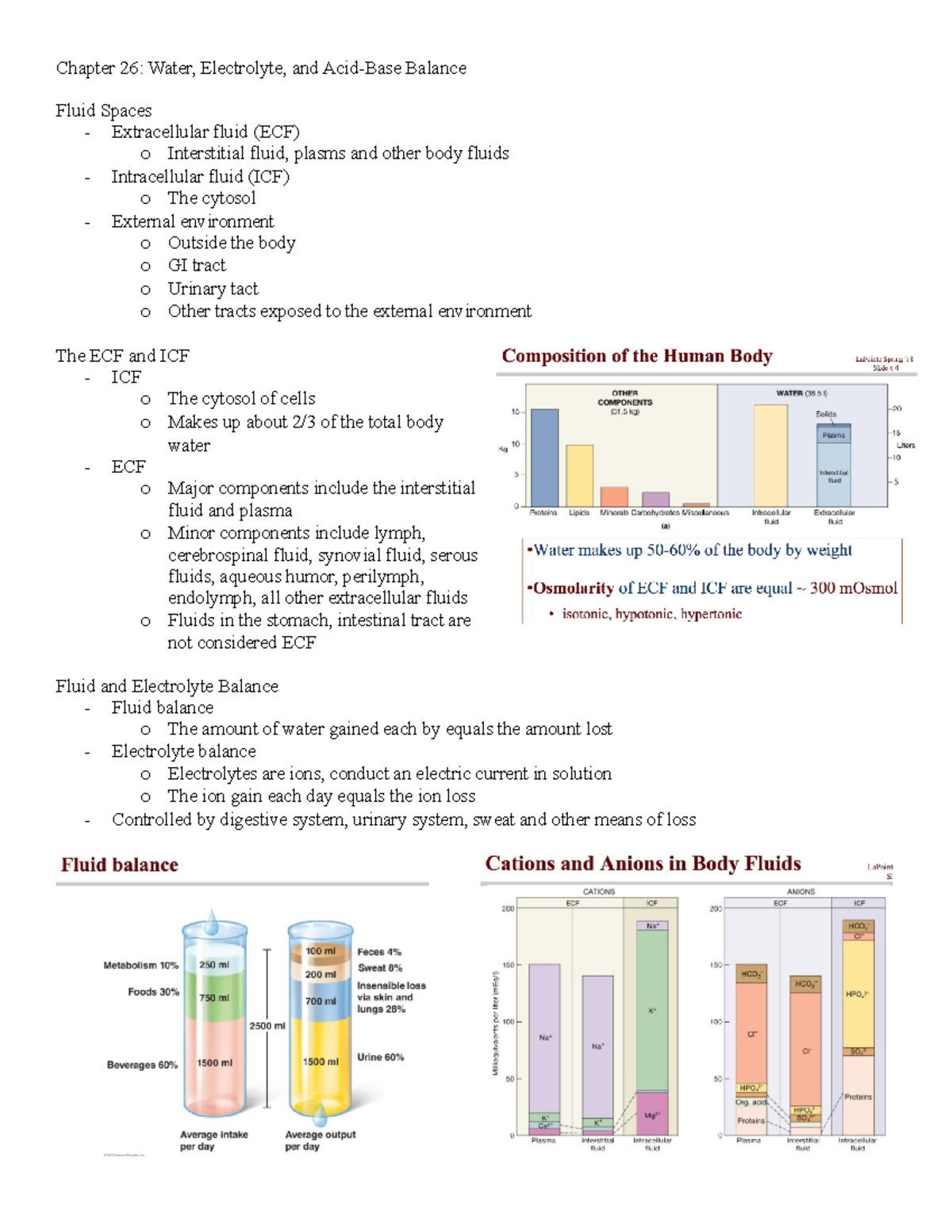 Chapter 26 - Acid Base - Chapter 26: Water, Electrolyte, and Acid-Base ...