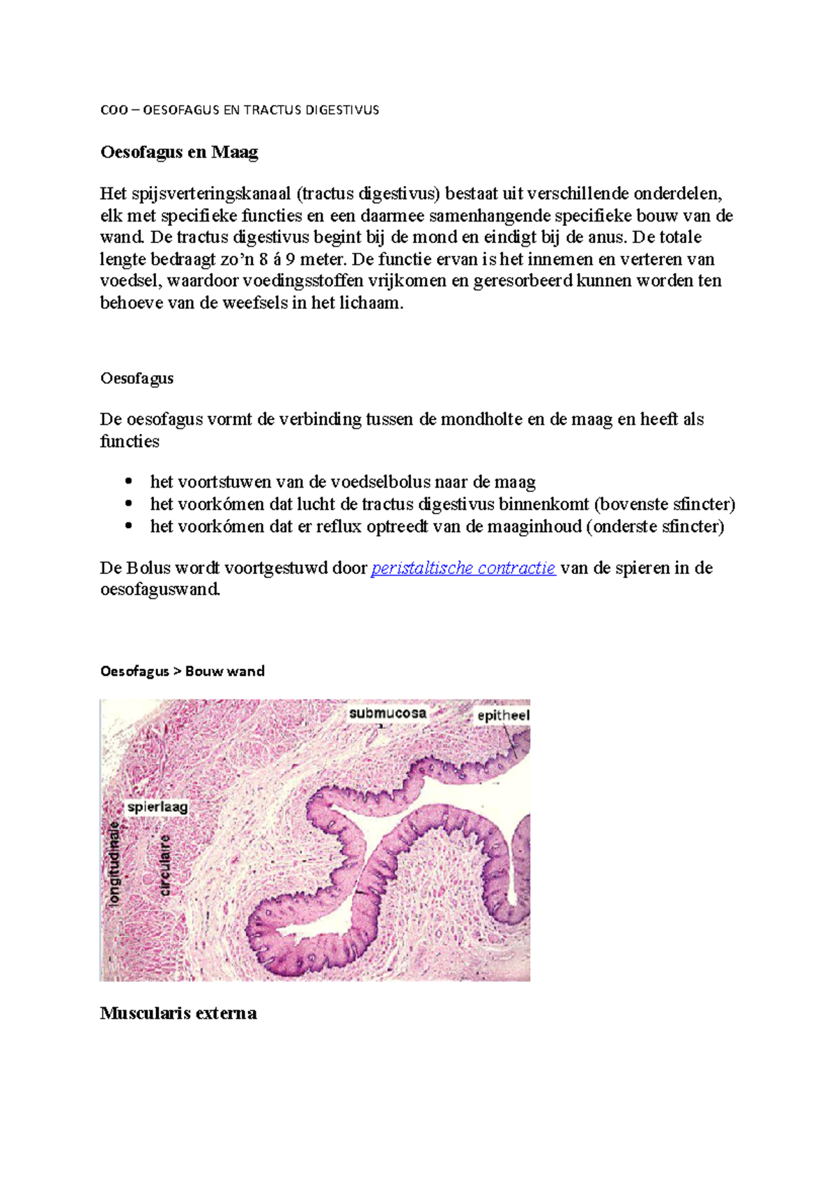 Samenvatting COO vertering - COO – OESOFAGUS EN TRACTUS DIGESTIVUS ...
