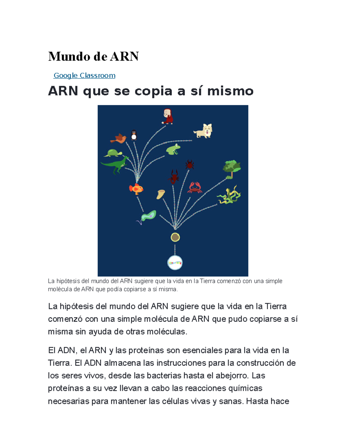Mundo de ARN - CELULAS - Mundo de ARN Google Classroom ARN que se copia ...