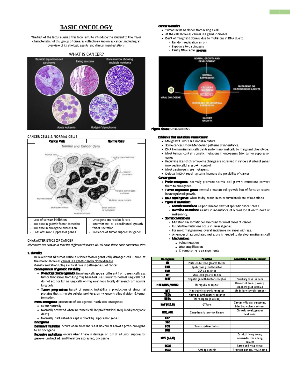 Basic Oncology and Principal of Cancer - BASIC ONCOLOGY The first of ...