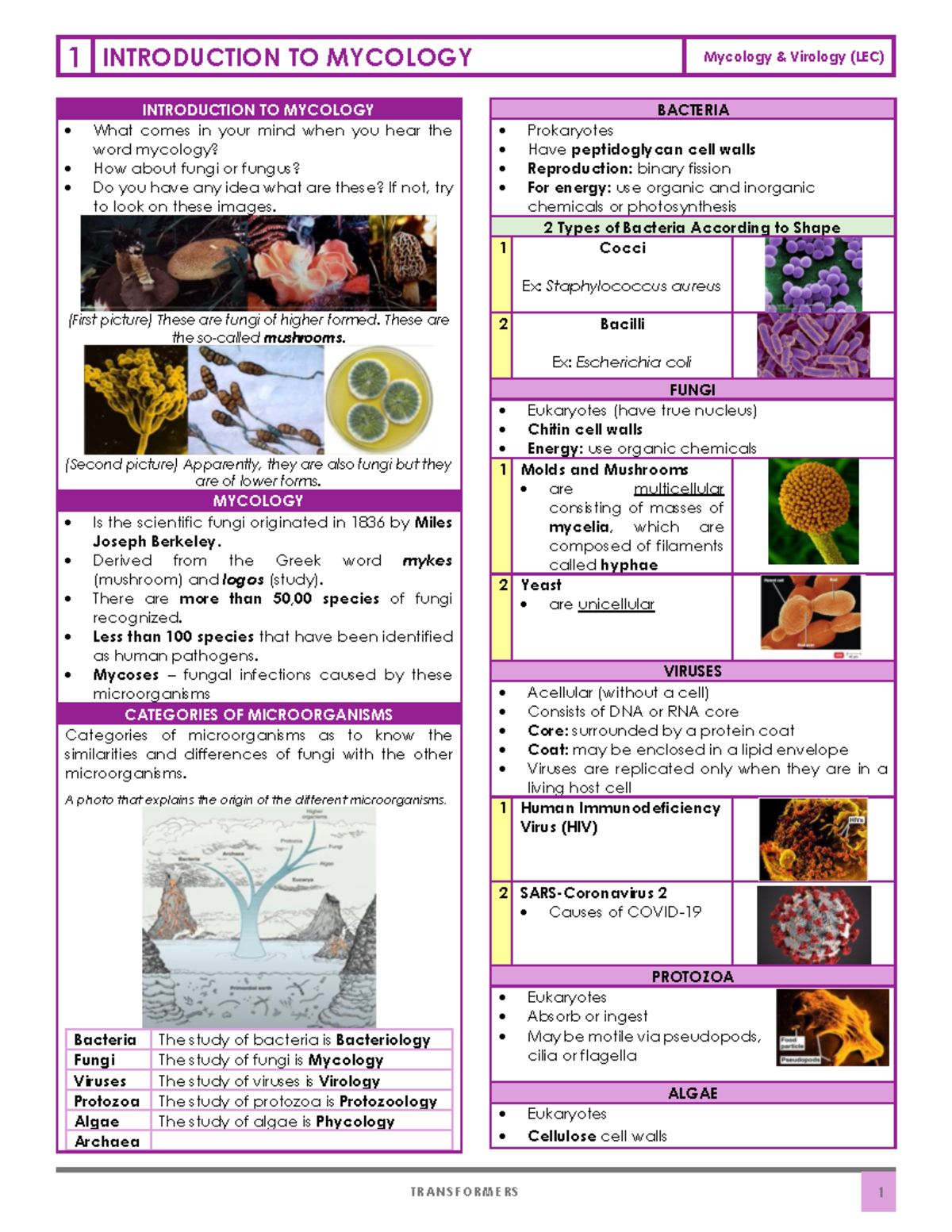 Myco Viro-Finals - CPAPSEM FINALS - 1 INTRODUCTION TO MYCOLOGY Mycology & Virology (LEC) - Studocu