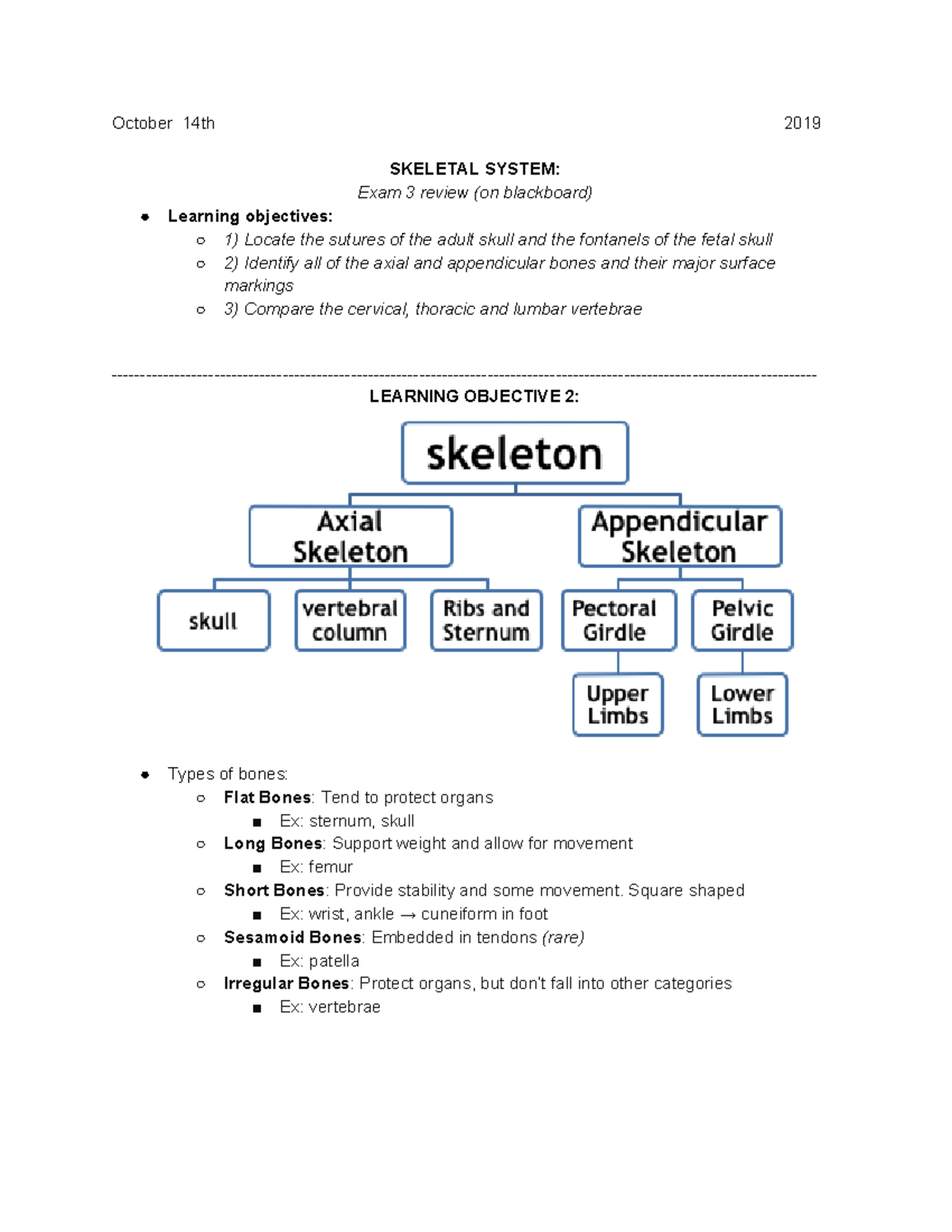 EXAM 3 - Organized notes - October 14th 2019 SKELETAL SYSTEM: Exam 3 ...