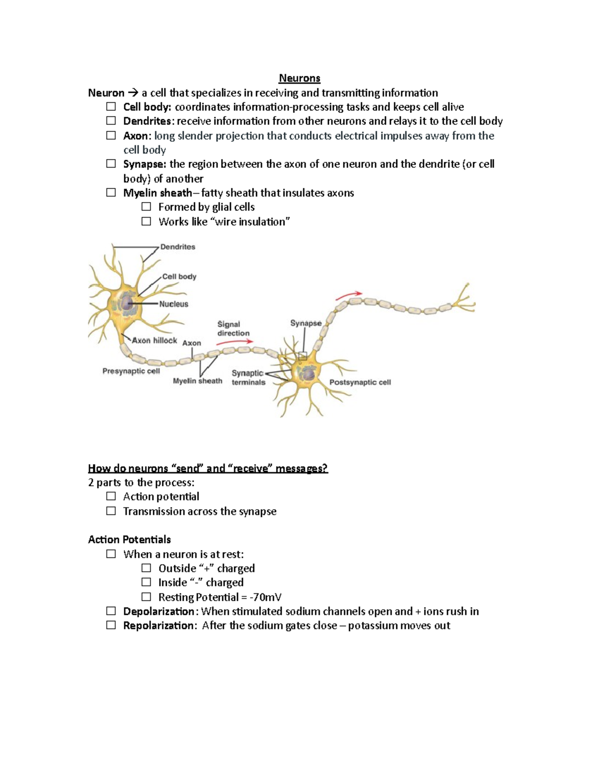 Psychology 10 - Professor Clark - Neurons Outline - Neurons Neuron à a ...
