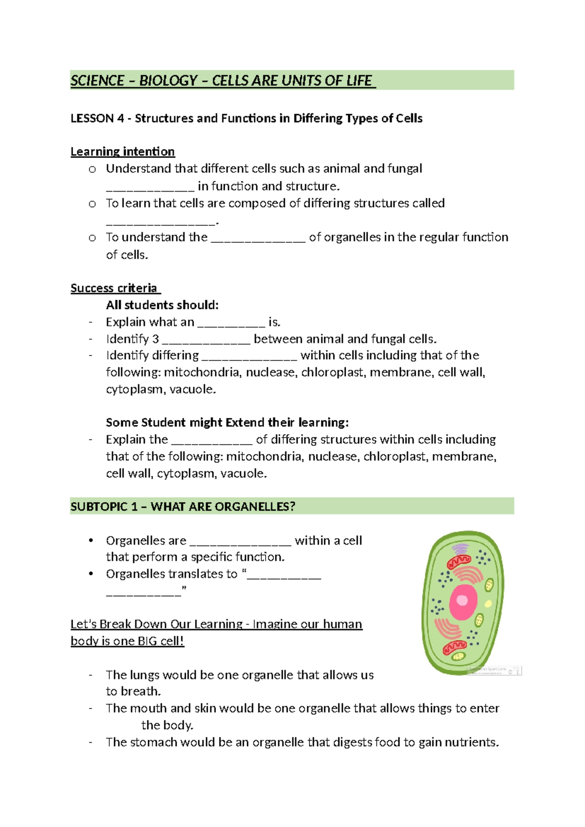 Example Worksheet for planned lesson - cells - SCIENCE – BIOLOGY ...