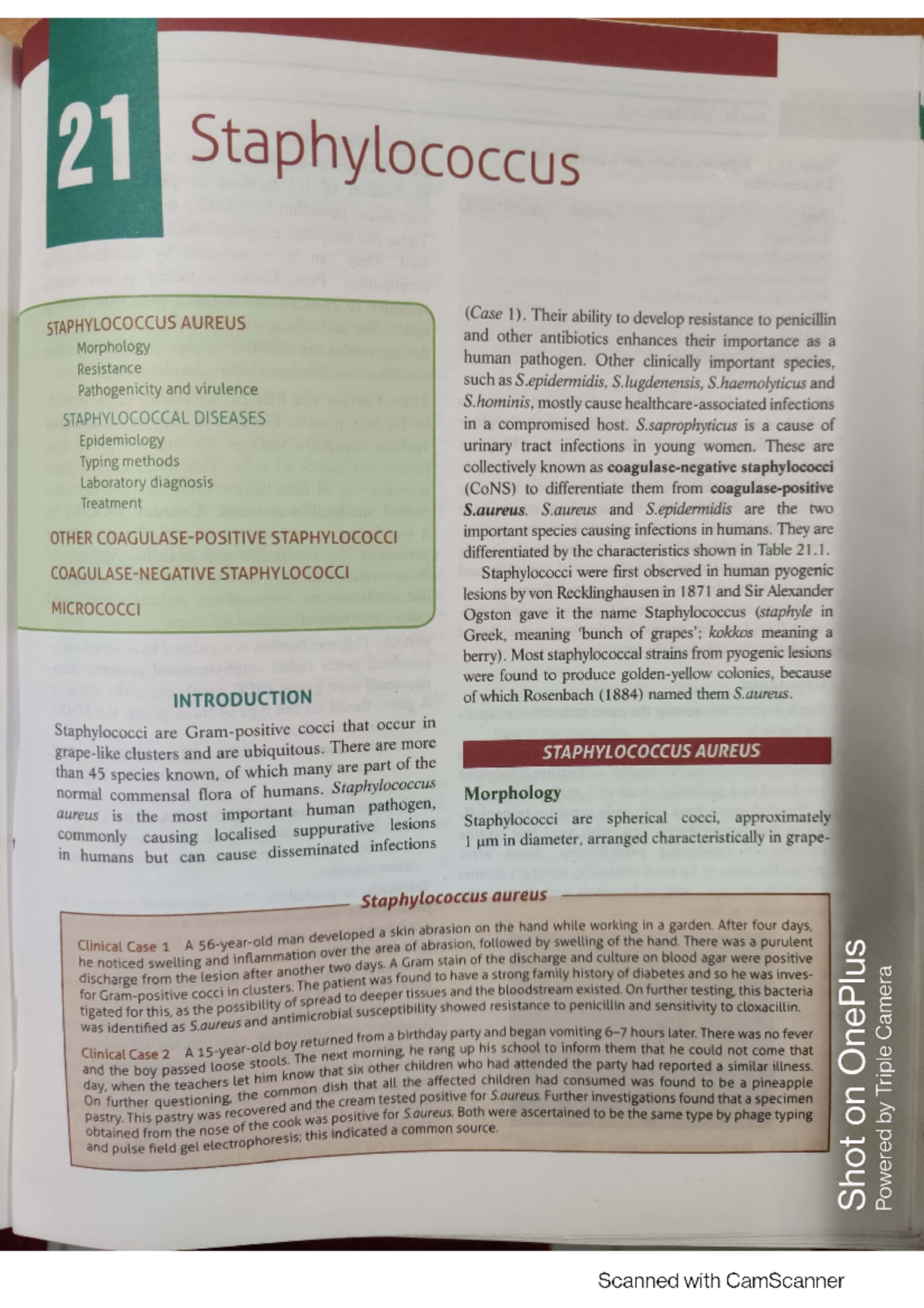 Staphylococcus -1 - Morphology, cultural characters,biochemical ...