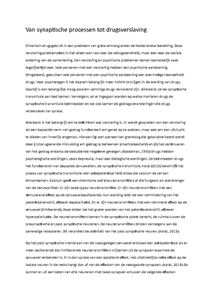 Essay hersenen en gedrag - Het gebruik van Ritalin zonder doktersrecept ...