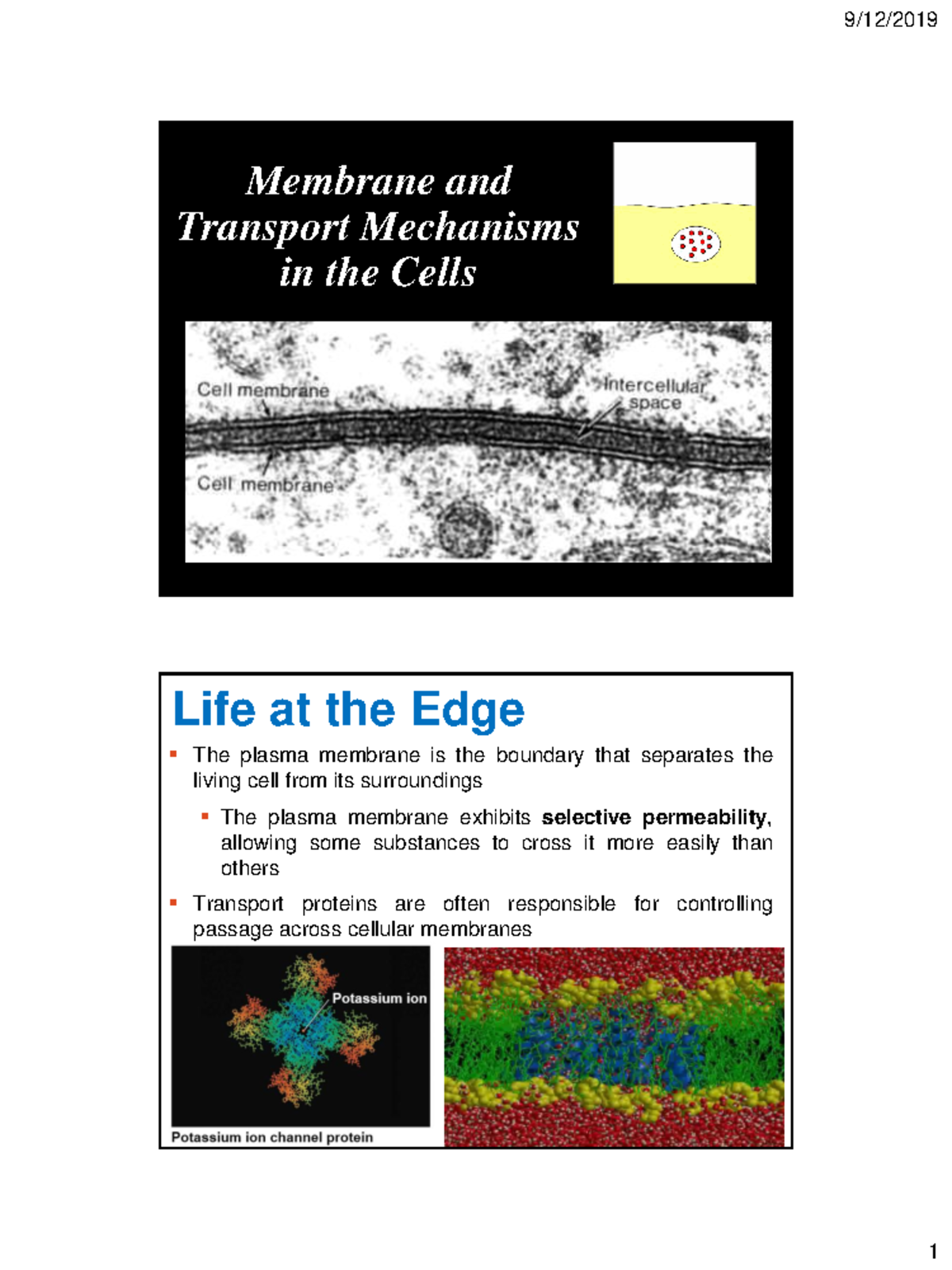 Cell Transport: THE WAY TO THE CELLS LIVING - ####### Membrane and ...