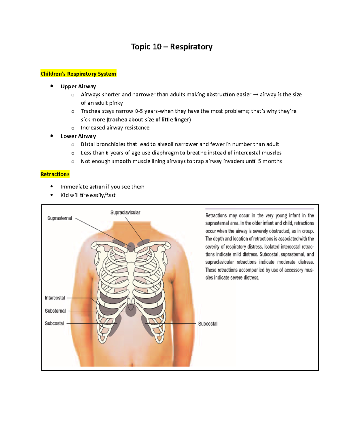 Topic 10 - Topic 10 – Respiratory Children’s Respiratory System Upper ...