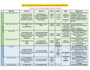 Anatomia Humero PT 1 - Surco Tubérculo intertubercular menor Tubérculo ...