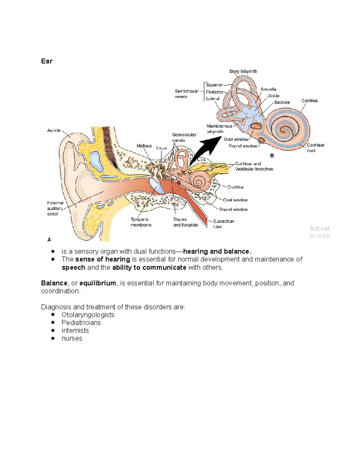 Hearing reviewer for nursing: medical surgical nursing - Ear is a ...