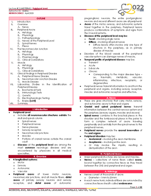 2022-Neuroscience-S3T3-Supratentorial-Level-Diencephalon-and-Visual ...