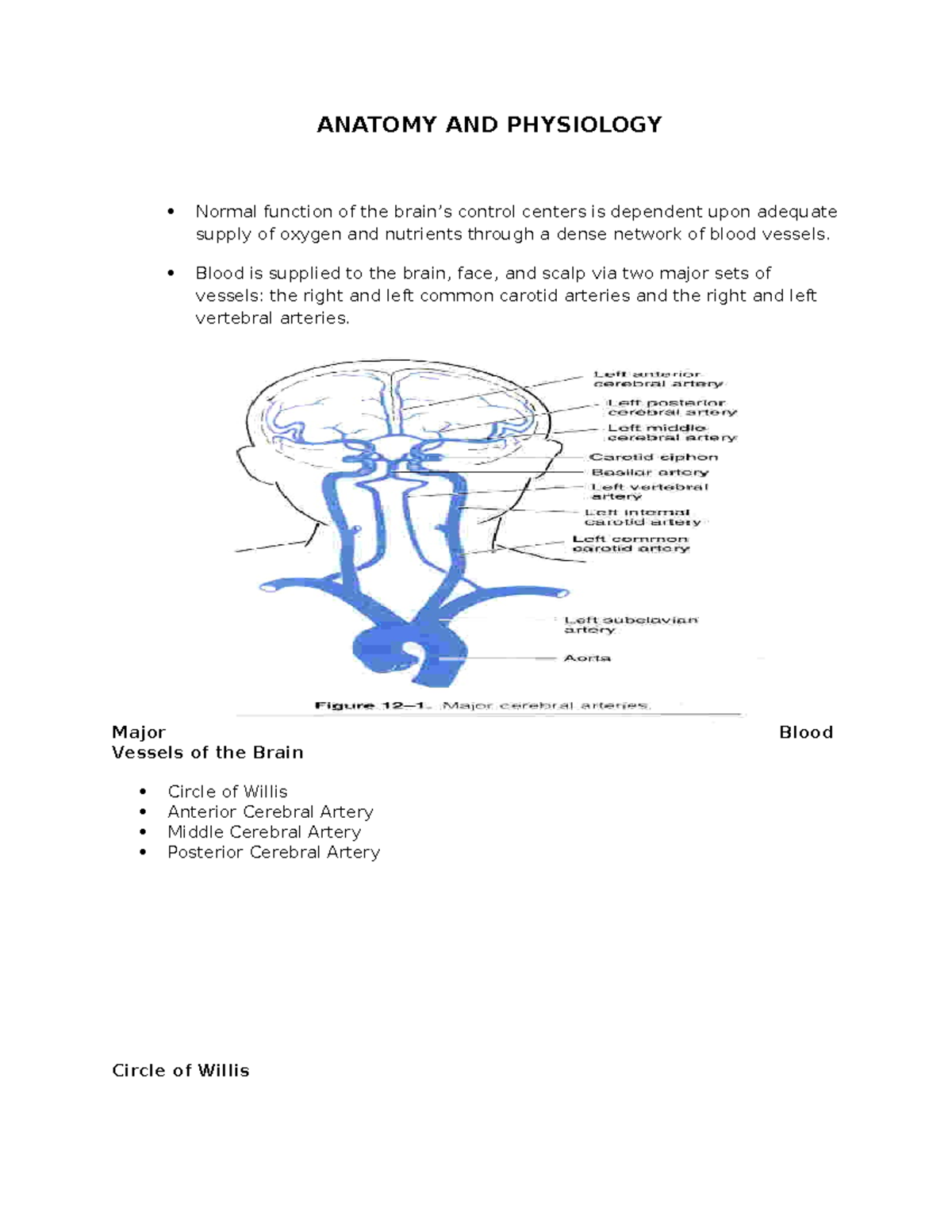 145056685 Anatomy and Physiology of the Brain - ANATOMY AND PHYSIOLOGY ...