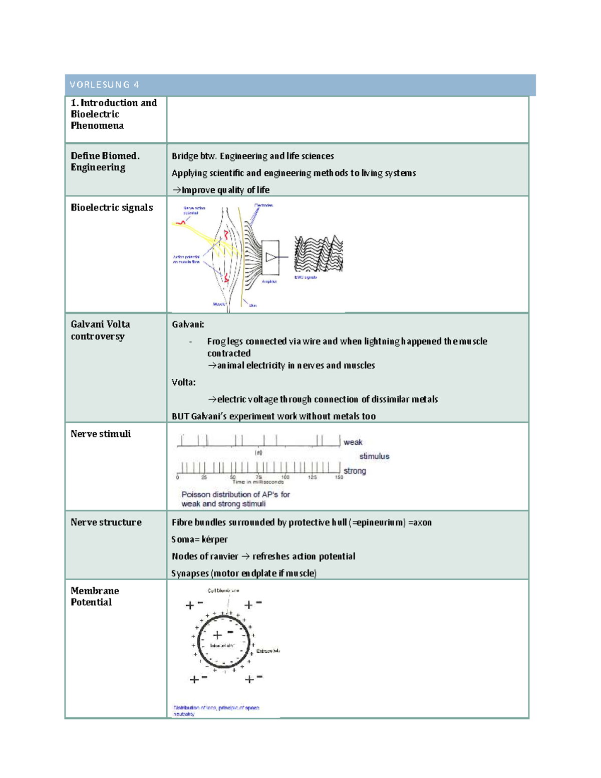 Biomedical engineering - VORLESUNG 4 Introduction and Bioelectric ...