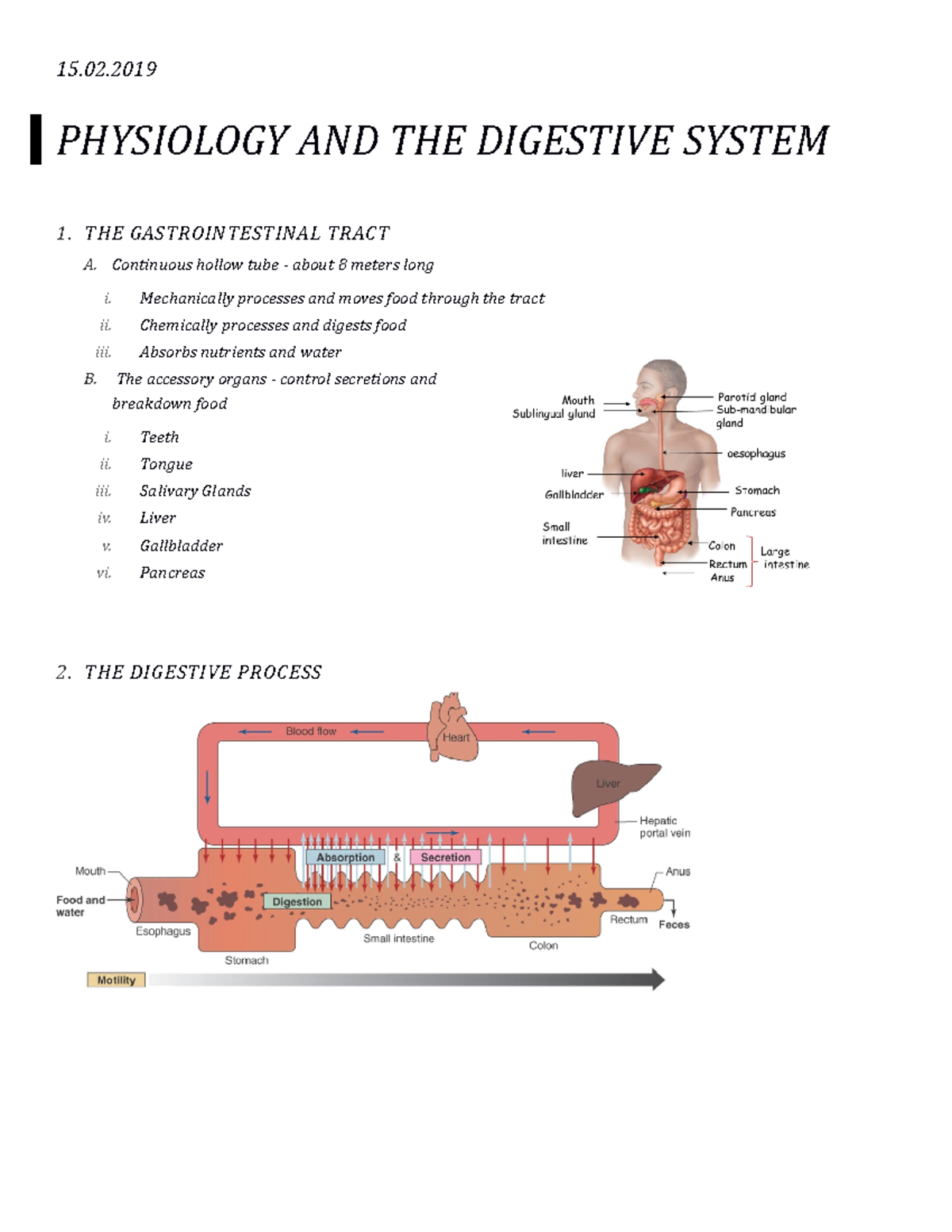 Physiology of the Digestive System Note - 15. PHYSIOLOGY AND THE ...